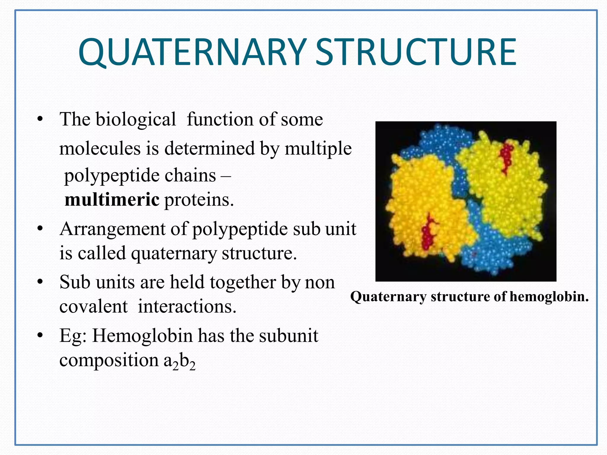 Protein Structure | PPTX
