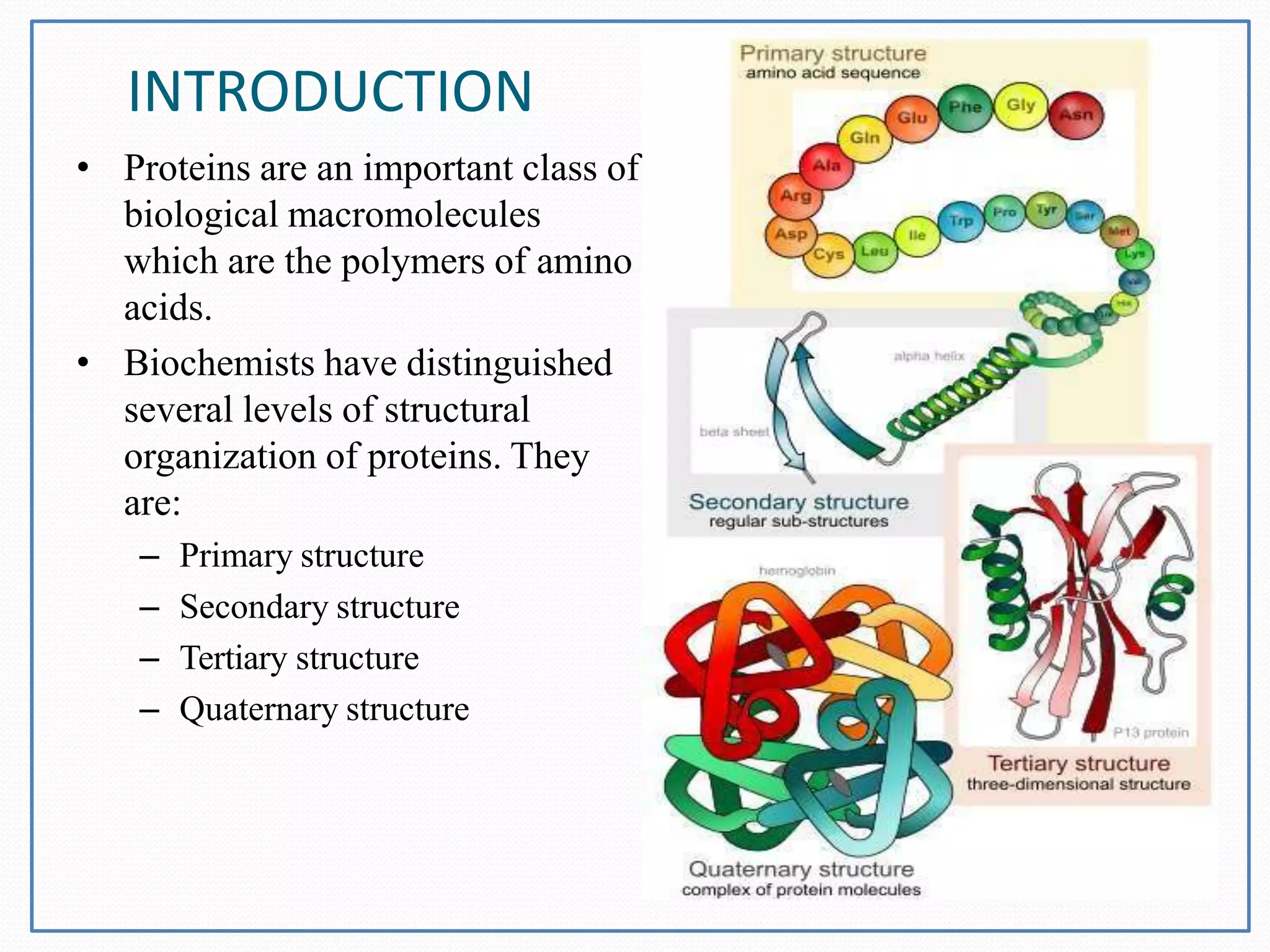 Protein Structure | PPT