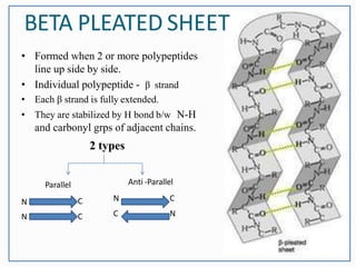 Protein Structure | PPTX | Chemistry | Science