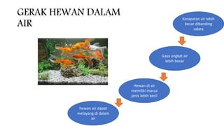 05 sistem gerak pada hewan | PPTX