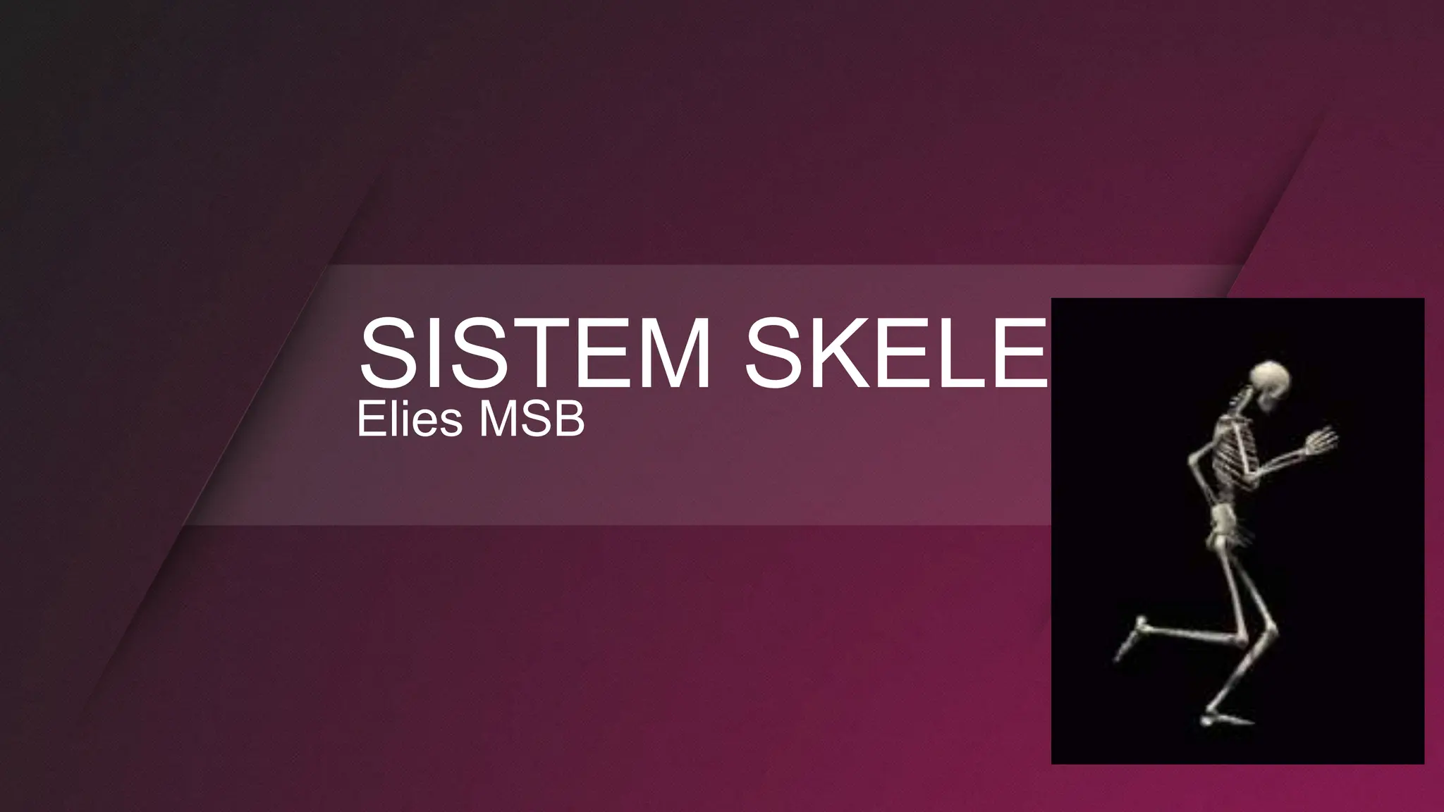 05 Sistem Skeletal (anatomi fisiologi manusia).pptx