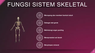 05 Sistem Skeletal (anatomi fisiologi manusia).pptx