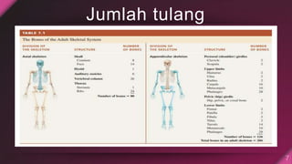 05 Sistem Skeletal (anatomi fisiologi manusia).pptx