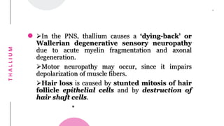 Thallium- inorganic metallic poison (Forensic Toxicology) | PPTX