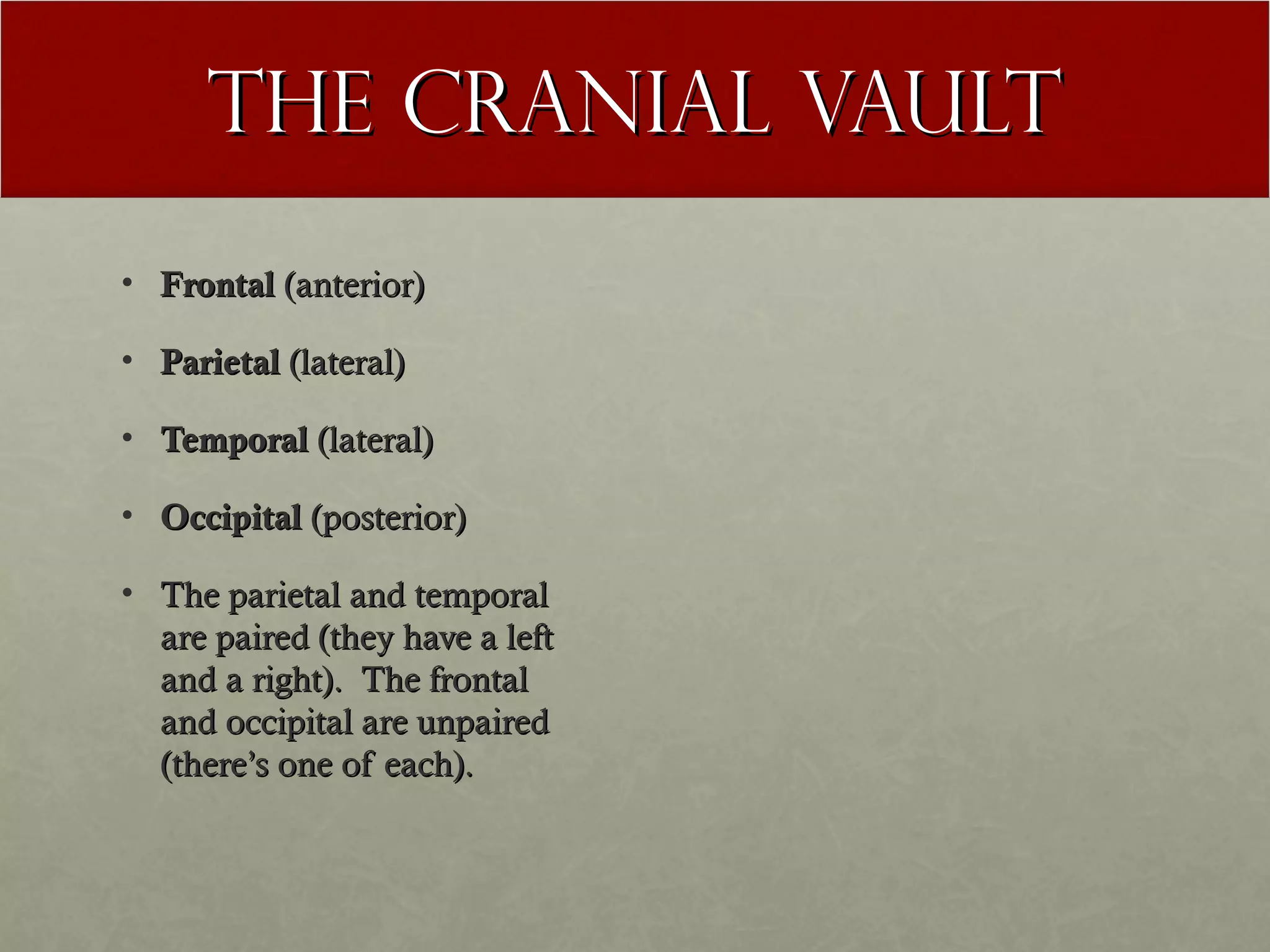 05 the axial skeleton english | PPT