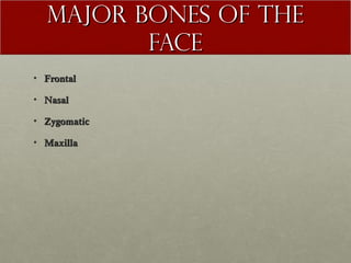 05 the axial skeleton english | PPT