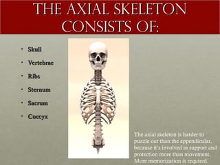 05 the axial skeleton english | PPT