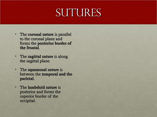 05 the axial skeleton english | PPT