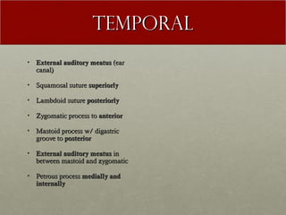 05 the axial skeleton english | PPT