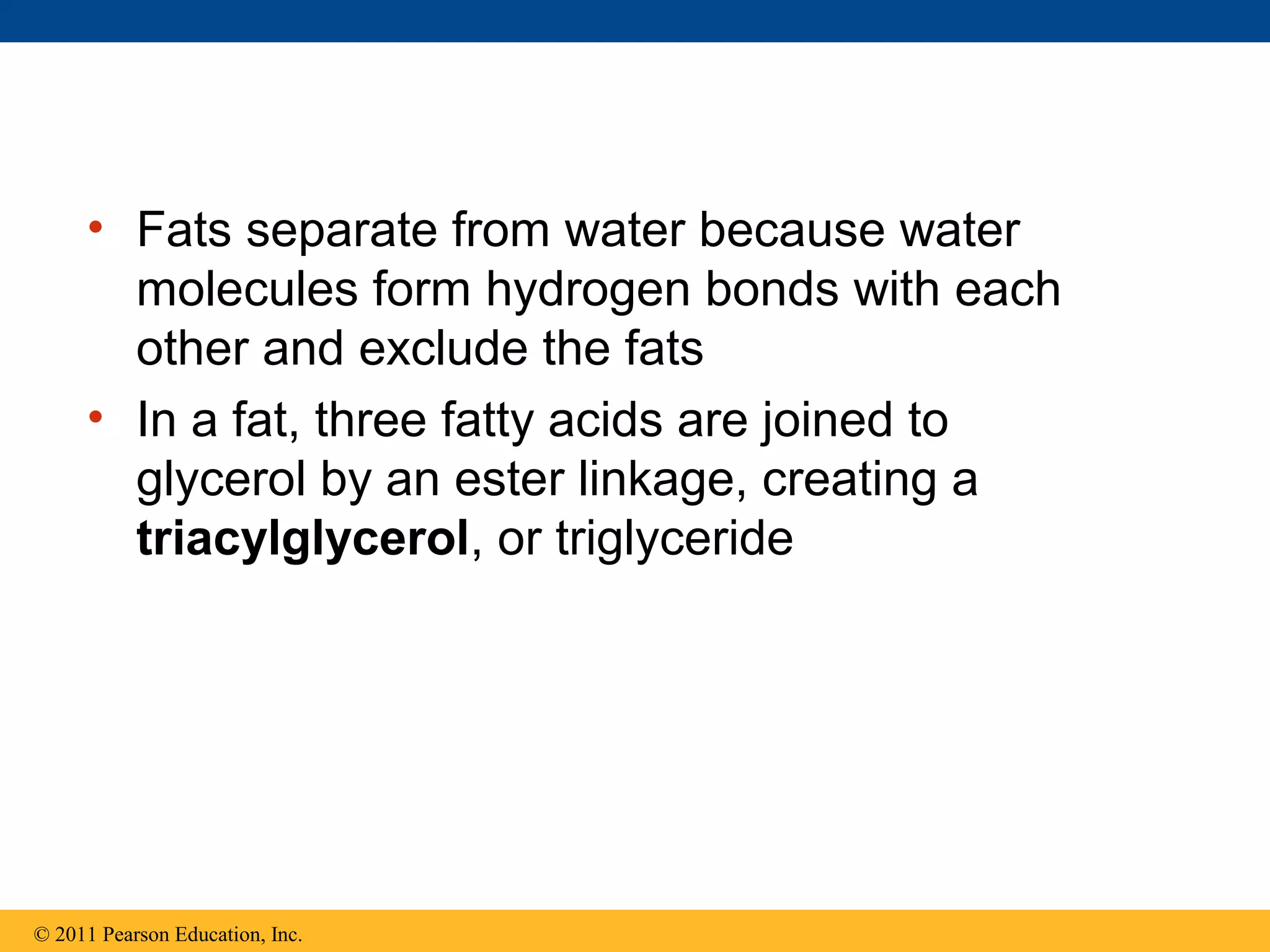 05 the structure and function of large biological molecules | PPT