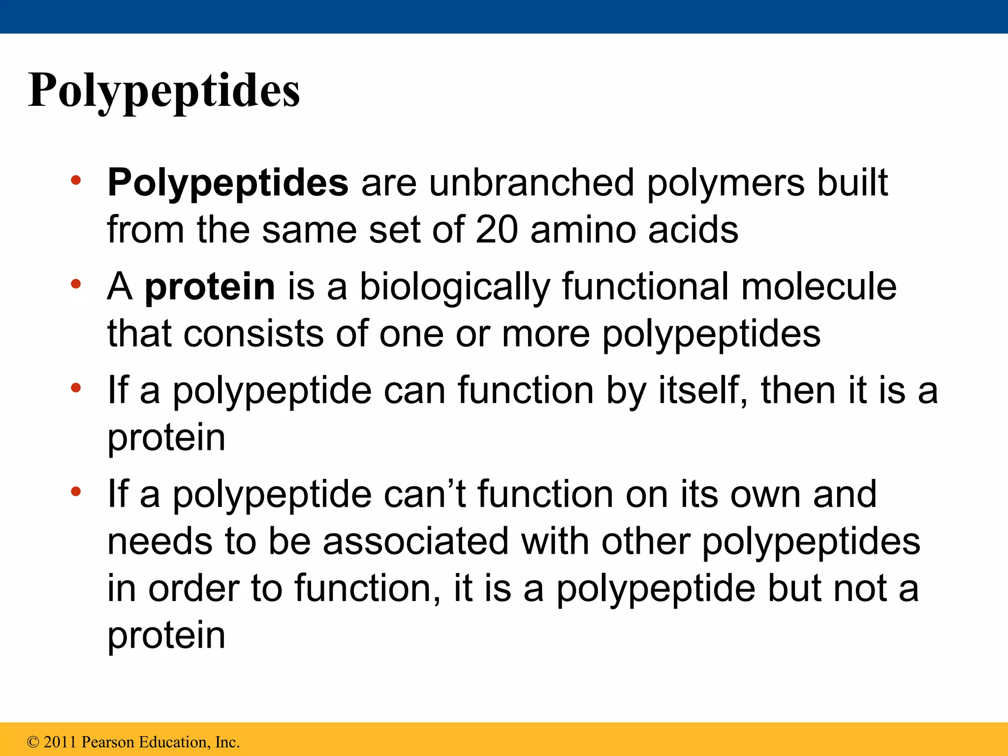 05 The Structure And Function Of Large Biological Molecules Ppt