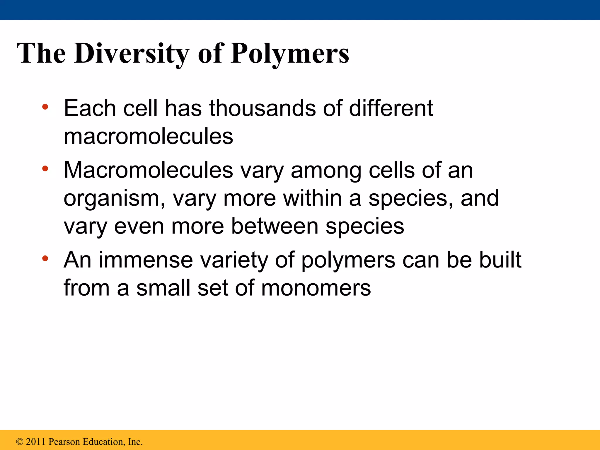 05 The Structure And Function Of Large Biological Molecules Ppt