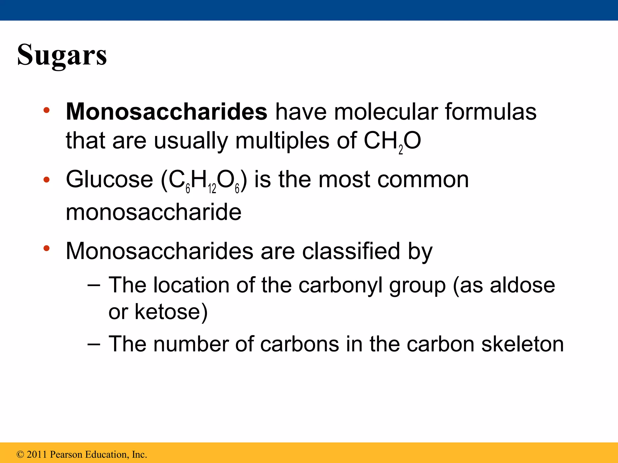 05 The Structure And Function Of Large Biological Molecules Ppt