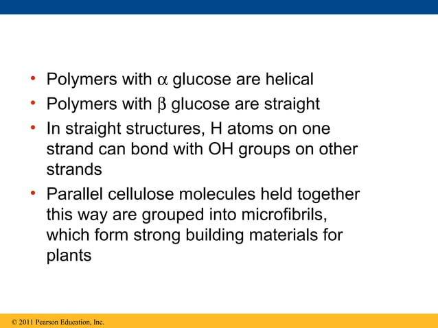 05 the structure and function of large biological molecules | PPT