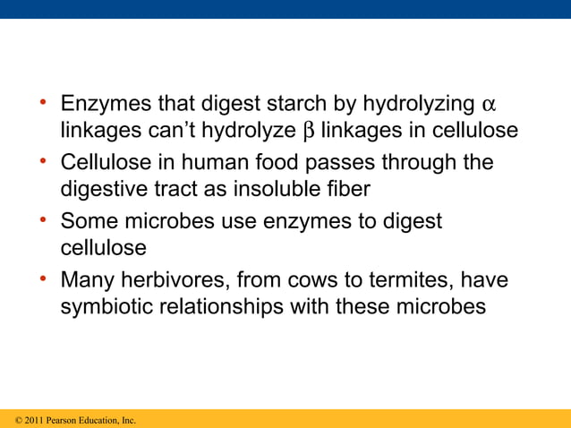 05 the structure and function of large biological molecules | PPT