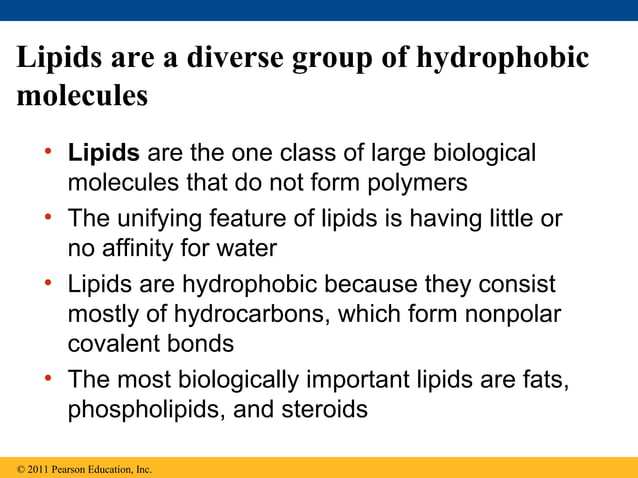 05 the structure and function of large biological molecules | PPT