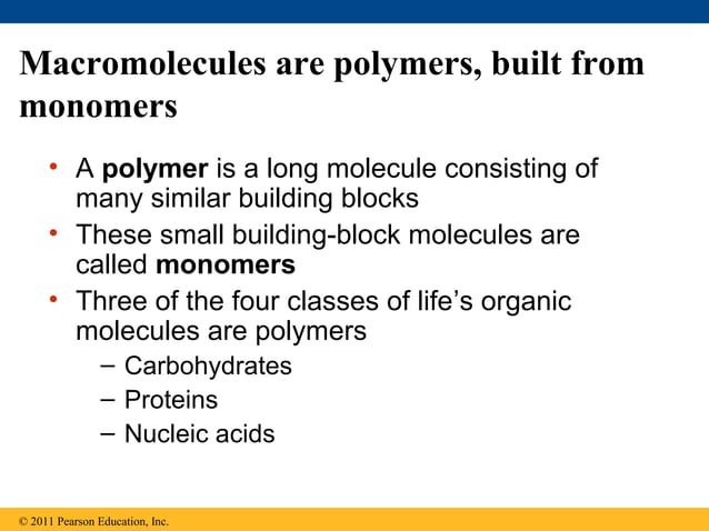 05 the structure and function of large biological molecules | PPT