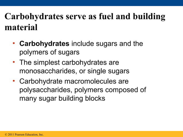 05 the structure and function of large biological molecules | PPT