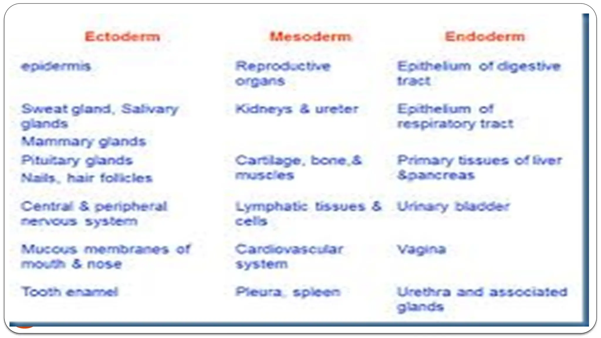05 Third Week of Development II.pptx embryology | PPT