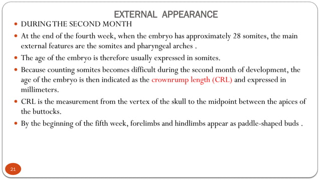 05 Third Week of Development II.pptx embryology | PPT
