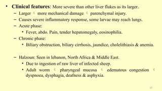 05 Trematodes of medical importance- Microbiology.pptx