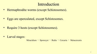 05 Trematodes of medical importance- Microbiology.pptx
