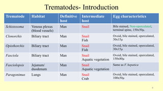 05 Trematodes of medical importance- Microbiology.pptx