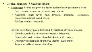 05 Trematodes of medical importance- Microbiology.pptx