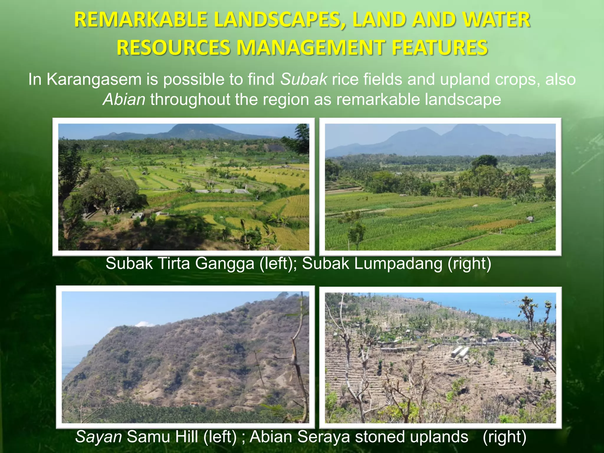 Integrated Agricultural System of Tri Hita Karana - Tri Mandala in Bali ...