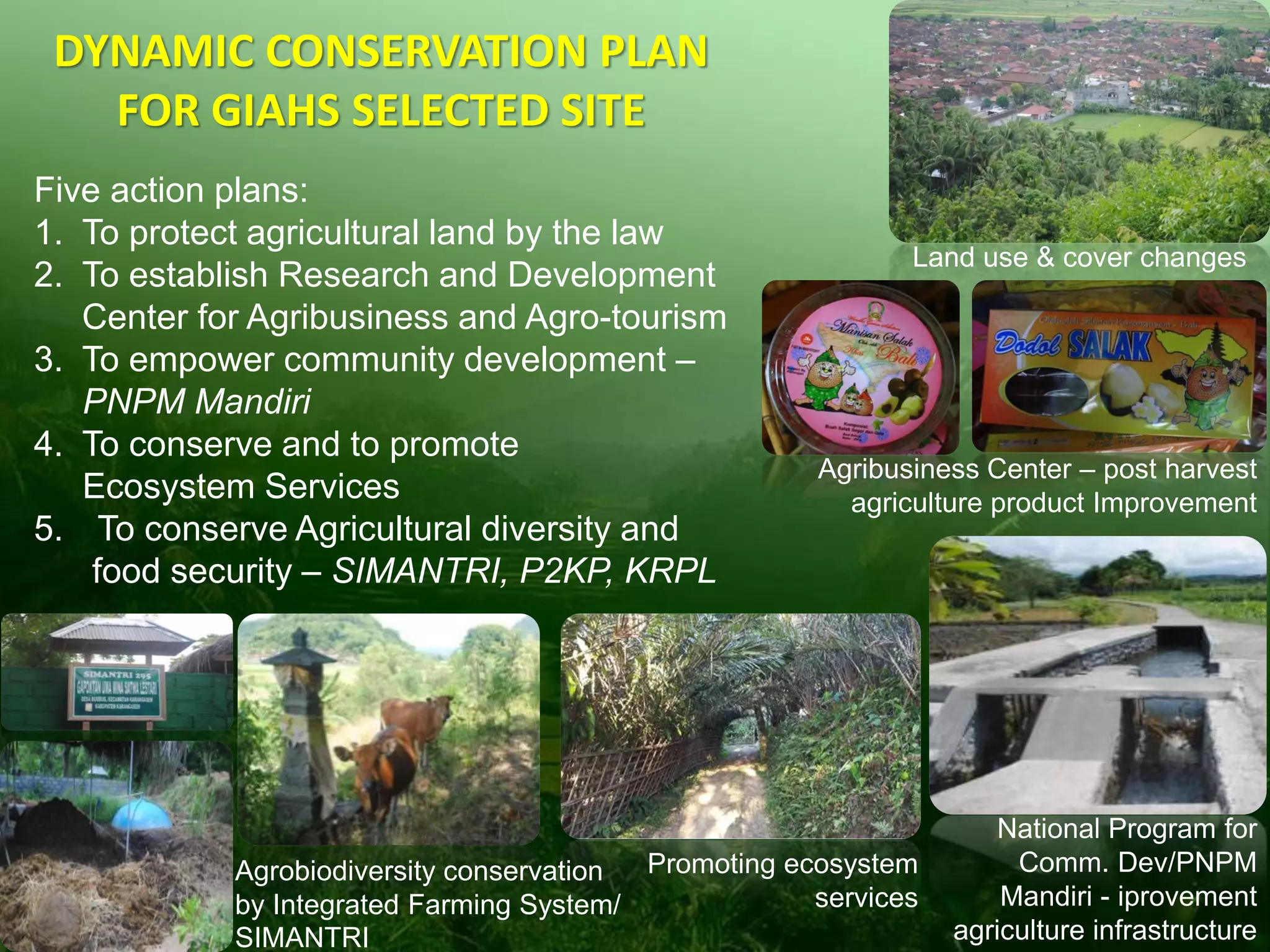 Integrated Agricultural System of Tri Hita Karana - Tri Mandala in Bali ...