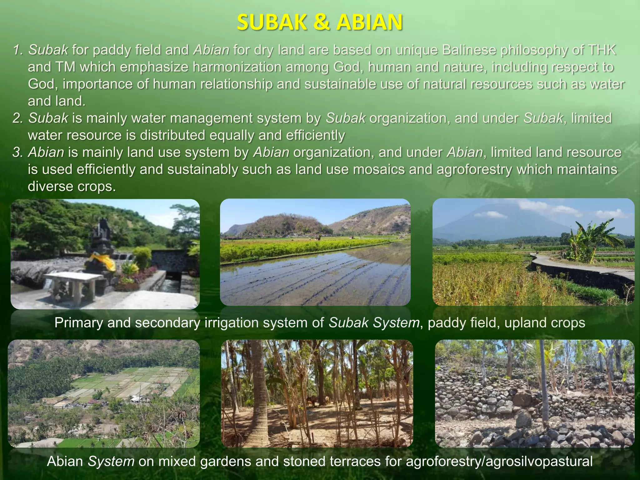 Integrated Agricultural System of Tri Hita Karana - Tri Mandala in Bali | PDF