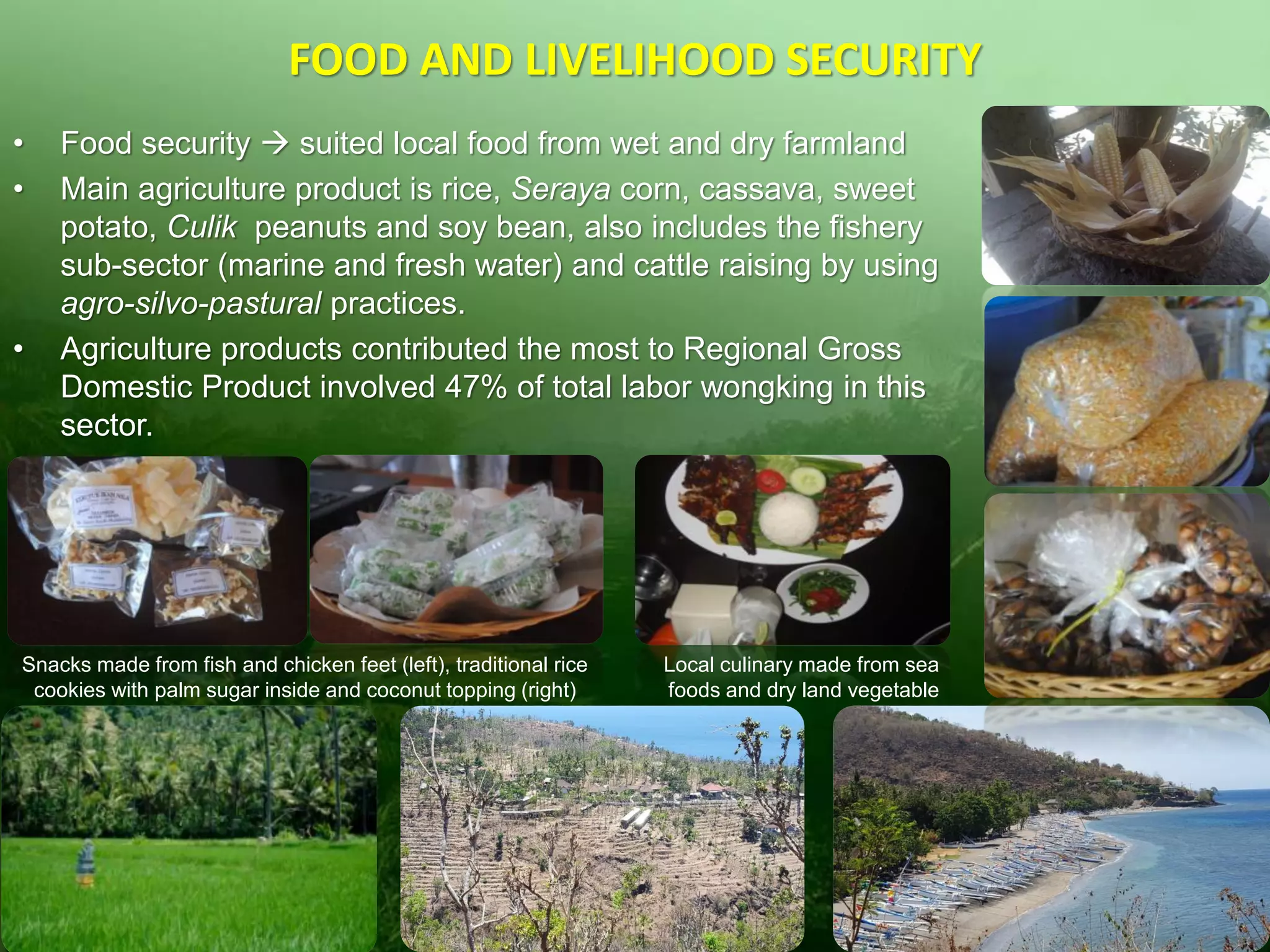 Integrated Agricultural System of Tri Hita Karana - Tri Mandala in Bali ...