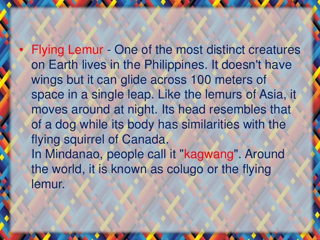 Trivia About The Philippines trivia-about-the-philippines