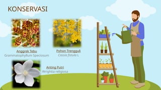 05 Tugas Ms PPT_Erwan Usmawan.pptx mantap | PPTX