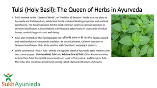 Tulsi -Holy basil usage in Ayurveda.pptx
