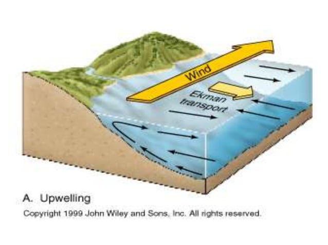 Pertemuan 05 upwelling | PPT