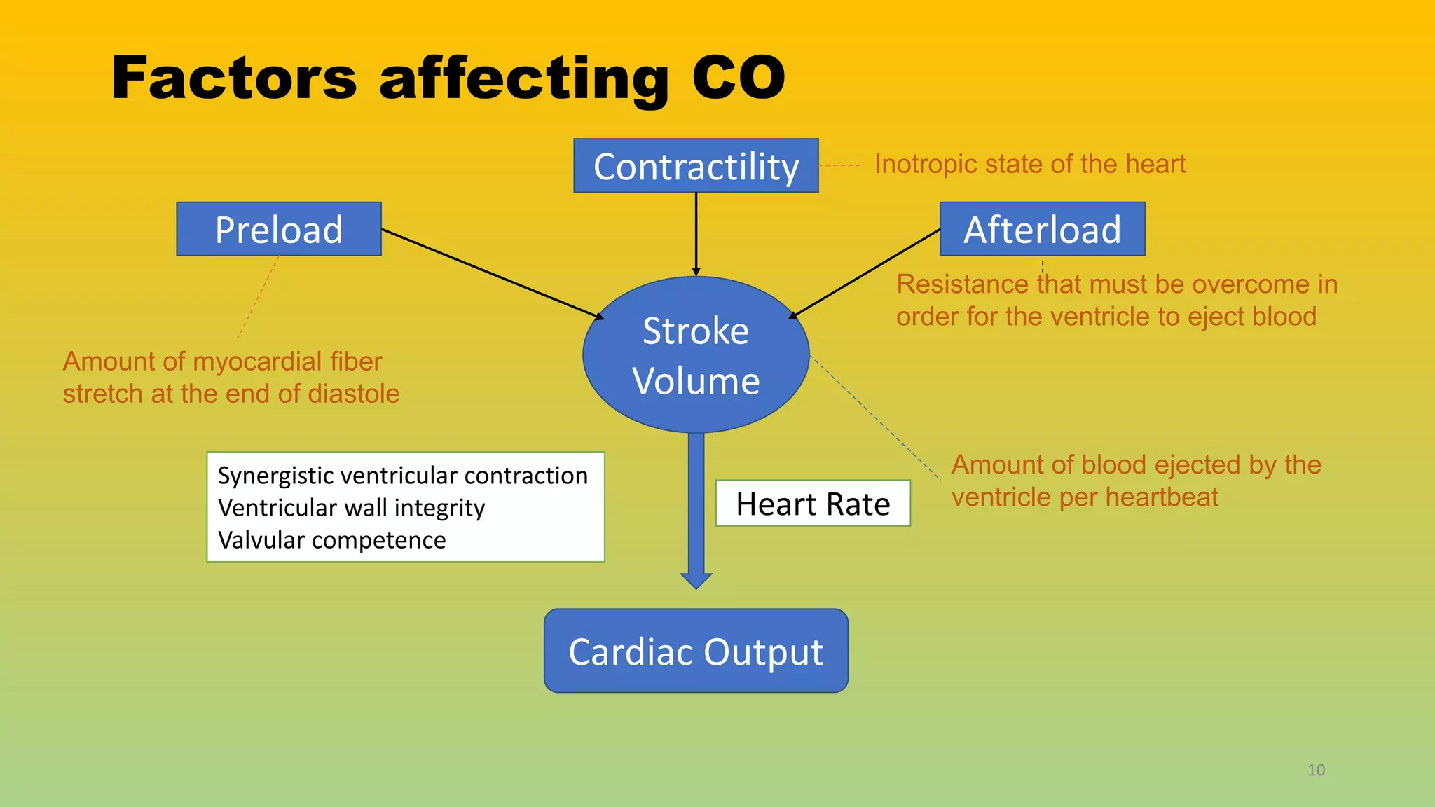 Drugs used in Heart Failure | PPTX