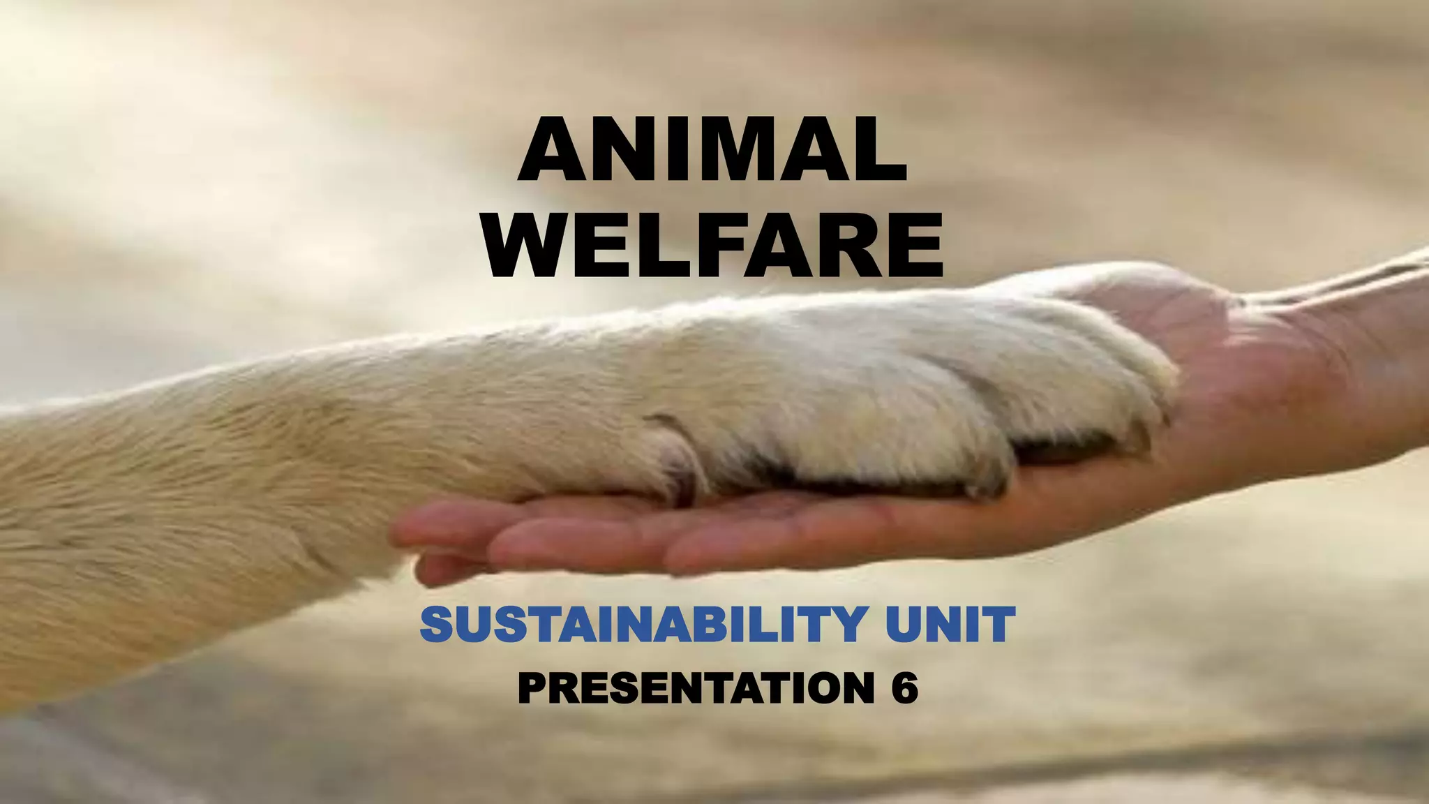 SUSTAINABILITY: ANIMAL WELFARE | PPTX