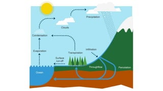 GEOGRAPHY YEAR 10: RIVER FEATURES | PPTX