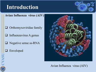 Inactivation of Avian Influenza Viruses by Chemical Agents and Physical ...