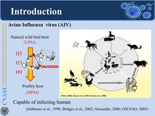Inactivation of Avian Influenza Viruses by Chemical Agents and Physical ...