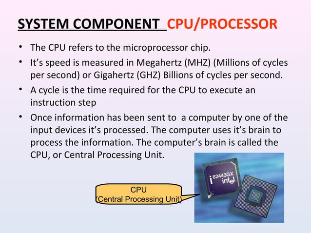 06. System unit of computer | PPT | Data Storage and Warehousing | Computing
