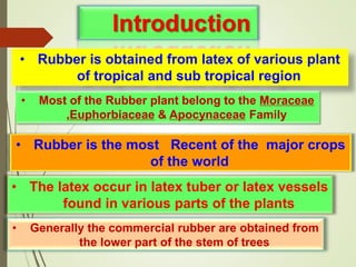 Plantation of Rubber By JIGNESH | PPTX