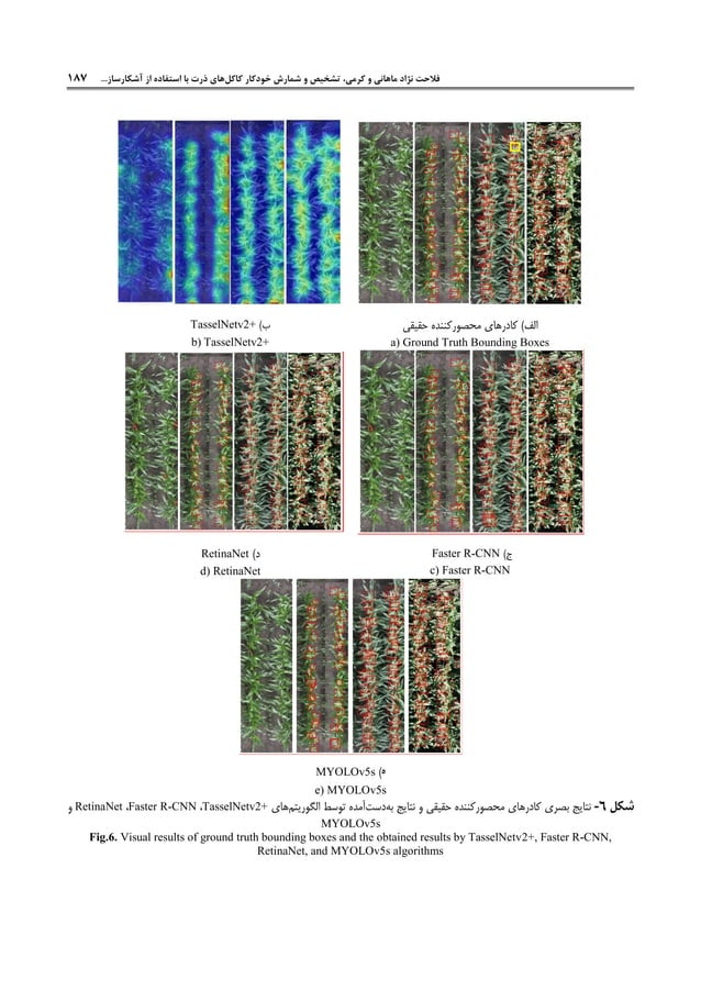 Maize Tassel Detection and Counting Using Deep Learning Techniques | PDF