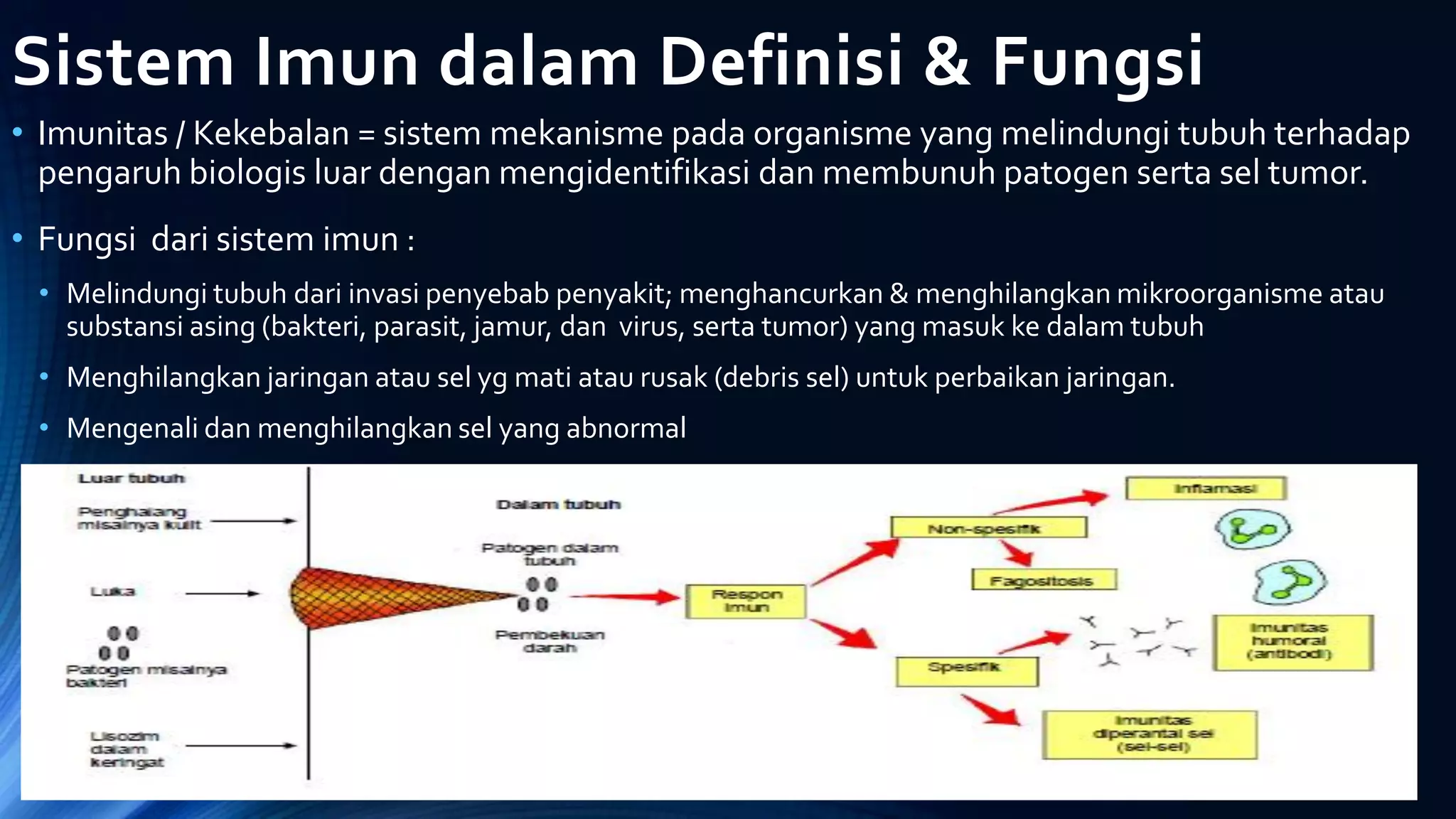 06._Sistem_Imunologi_.pdf