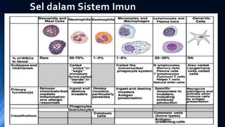 06._Sistem_Imunologi_.pdf