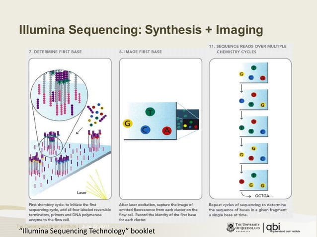 Introduction to second generation sequencing | PPTX
