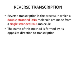 Reverse Transcription Process