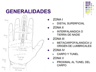 06. Fracturas y Lesiones de la Mano.pdf