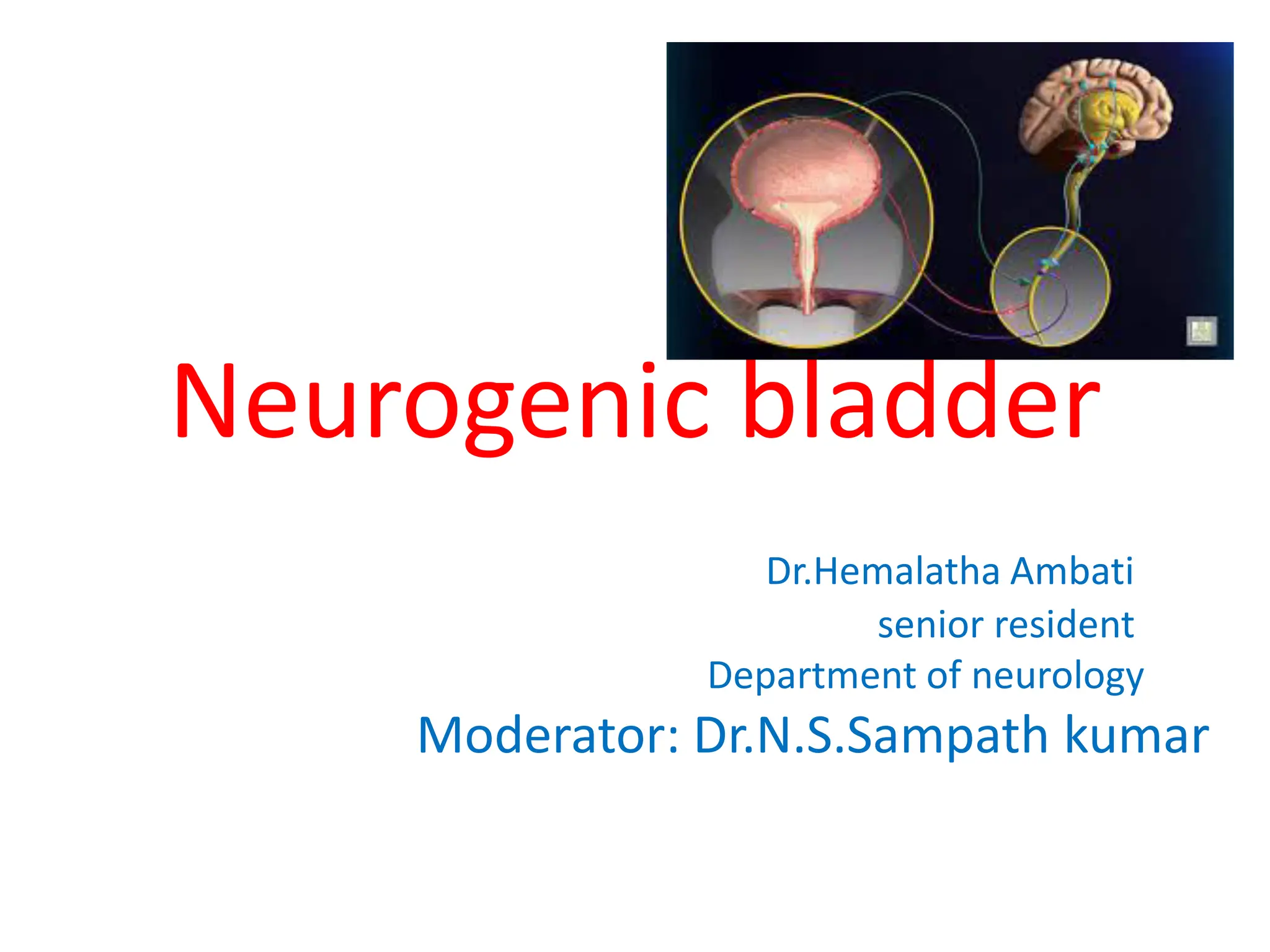 06.05.21-neurogenic-bladder-and-Copy.pdf